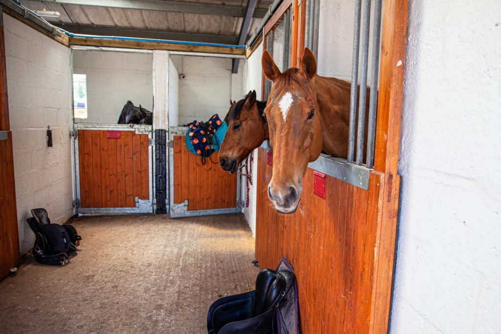 Gallery - Downclose Stables
