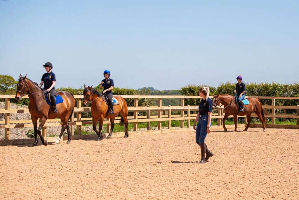 Gallery | Downclose Stables